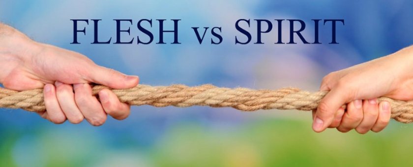 The Father Reveals Christ in the Spirit